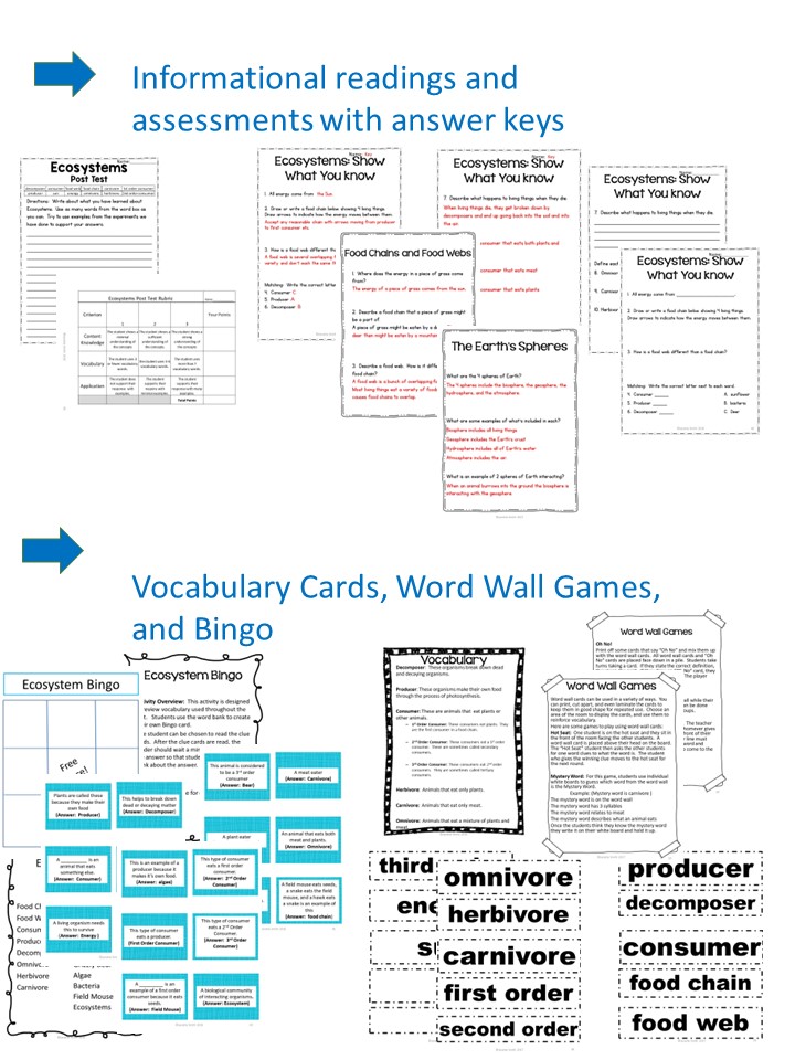 Ecosystems - Made By Teachers
