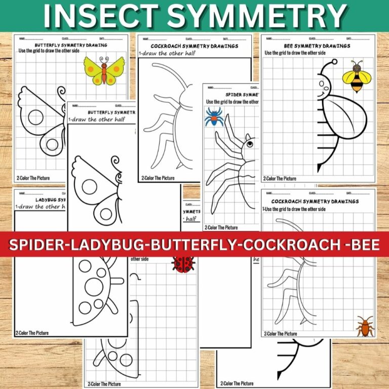 Insects Symmetry Drawing Activity- 2 Levels ,Ladybug,Spider,Cockroach ...