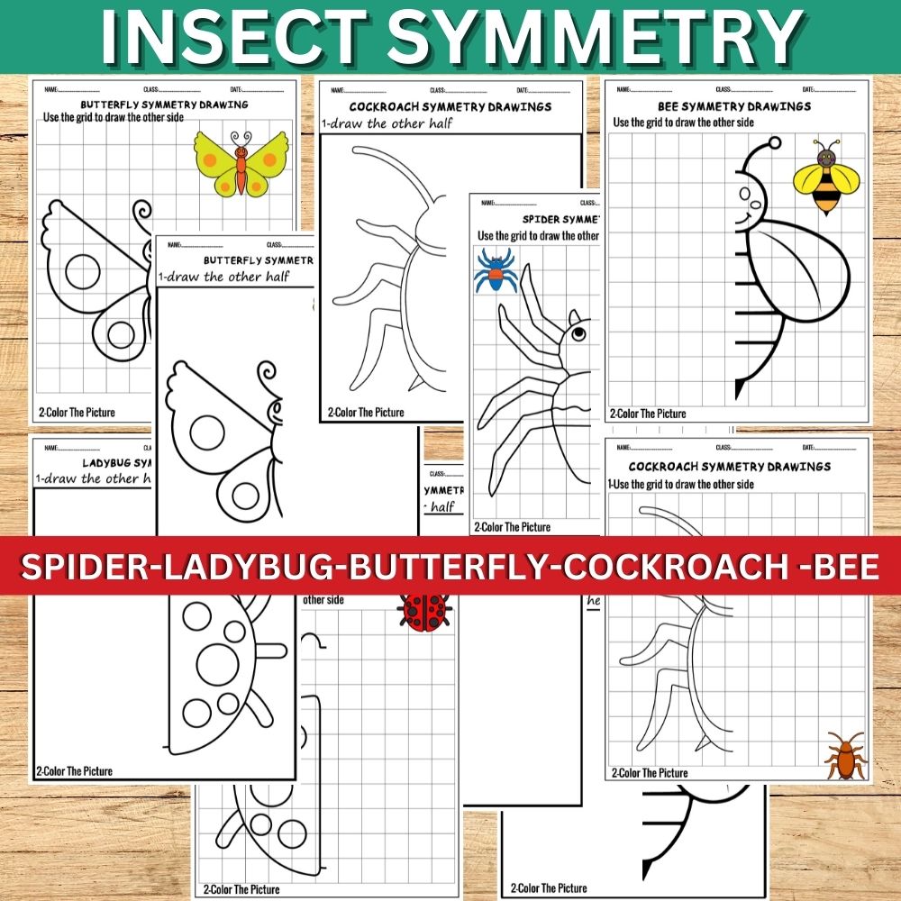 Insects Symmetry Drawing Activity- 2 Levels ,Ladybug,Spider,Cockroach ...