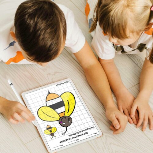 Insects Symmetry Drawing Activity- 2 Levels ,Ladybug,Spider,Cockroach ...