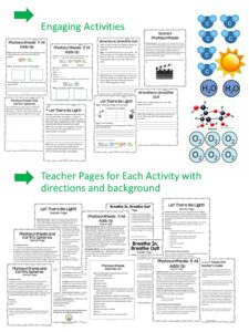 Photosynthesis - Made By Teachers