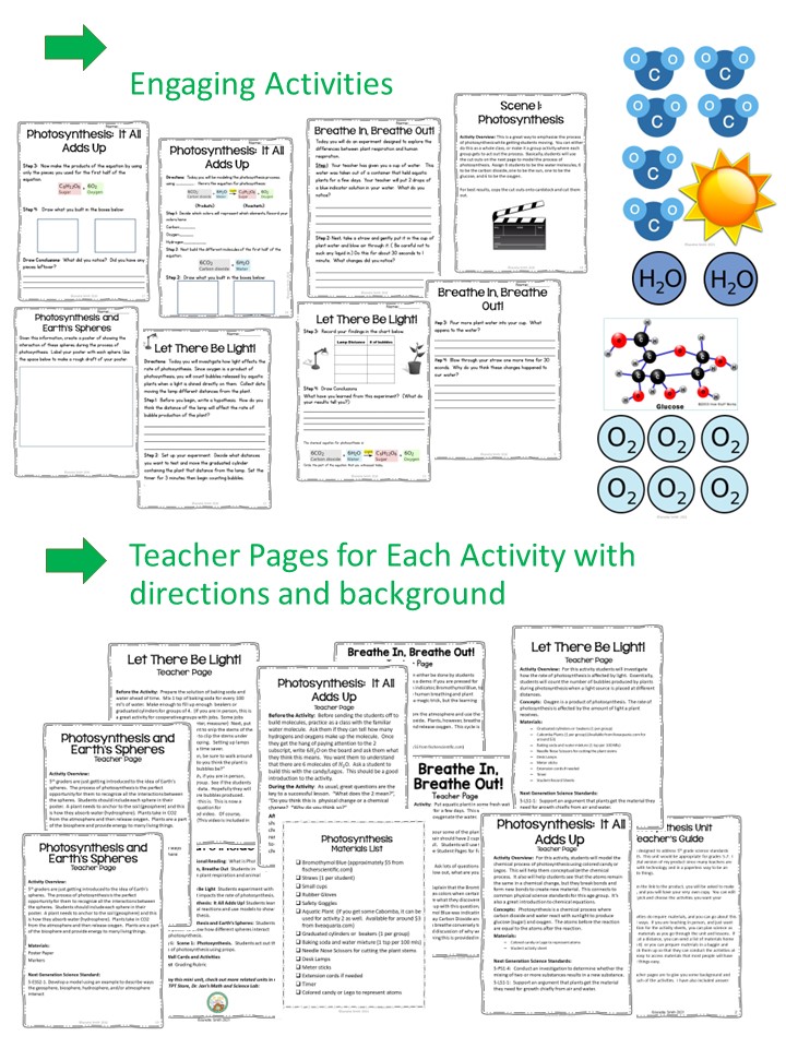 Photosynthesis | Made By Teachers