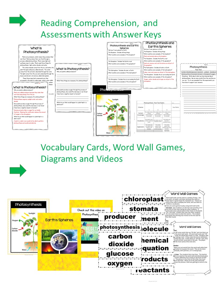 Photosynthesis | Made By Teachers
