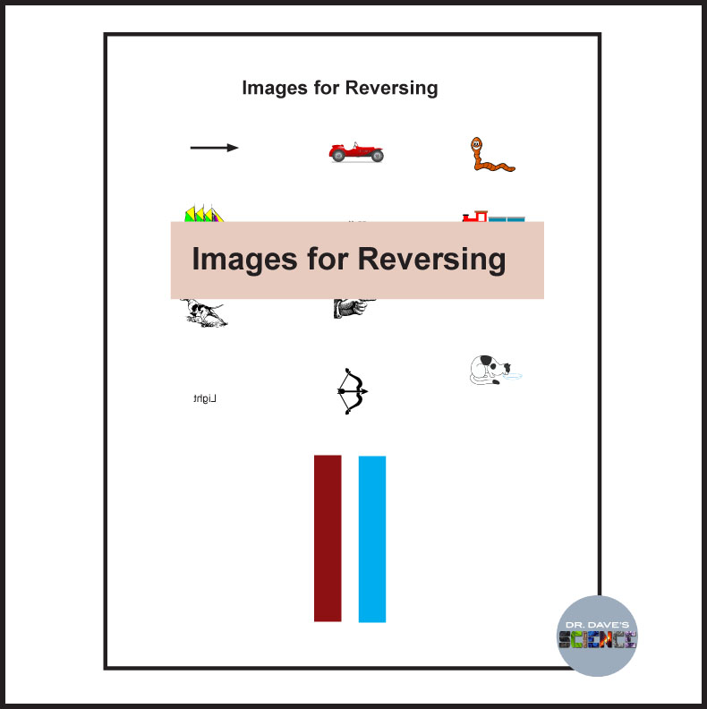 Refraction and Reflection of Light Reverse Writing 4-PS4-2 | Made By ...