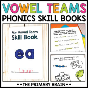 Vowel Teams Phonics Printable Book - Word Family Readerss - Made By ...