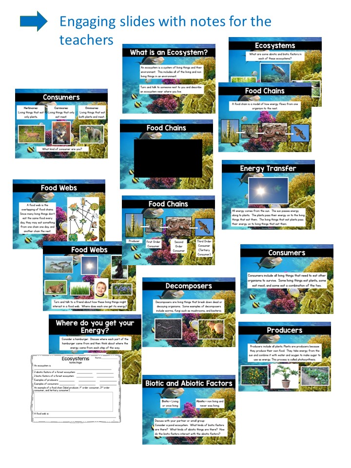 Ecosystems Presentation | Made By Teachers