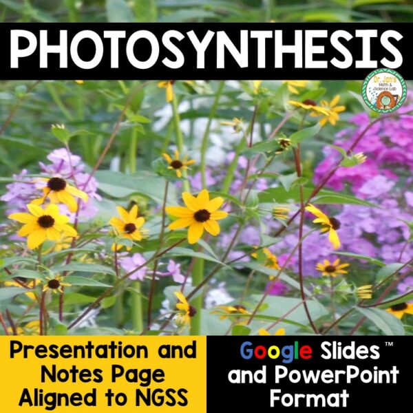 Photosynthesis Presentation | Made By Teachers