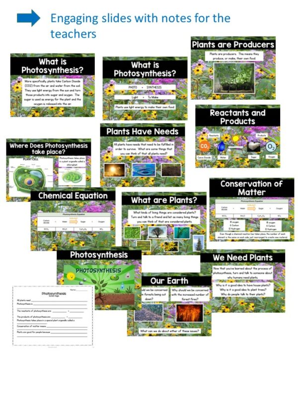 Photosynthesis Presentation | Made By Teachers