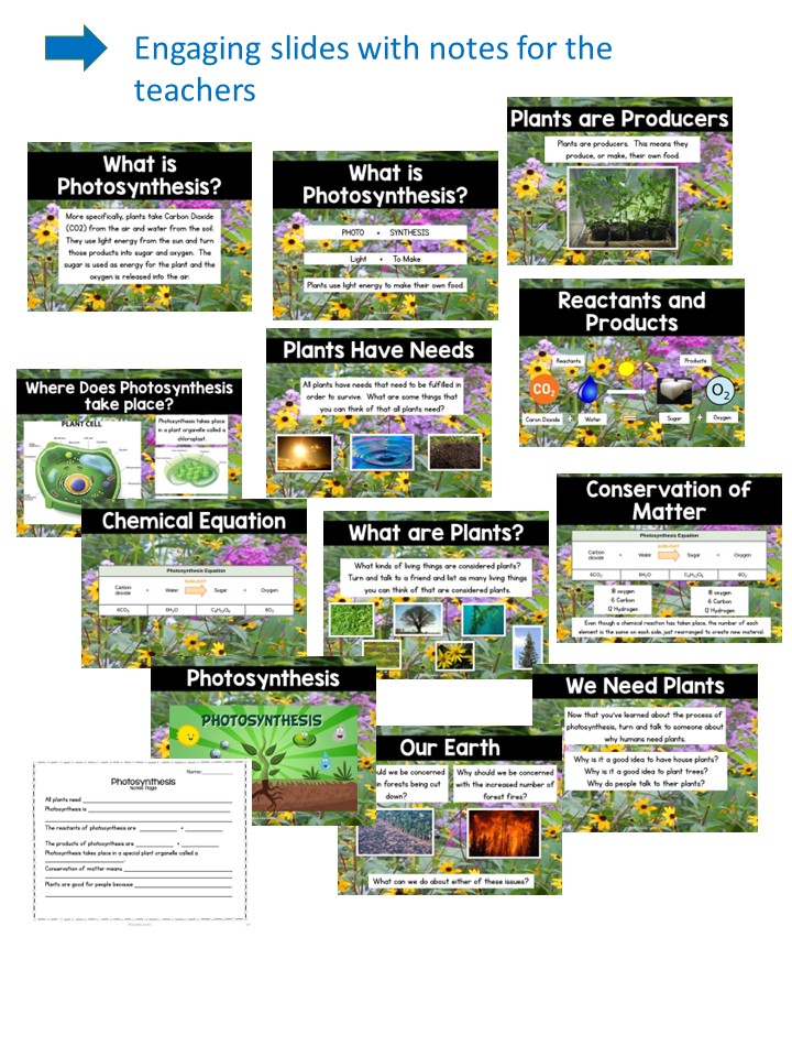 Photosynthesis Presentation | Made By Teachers