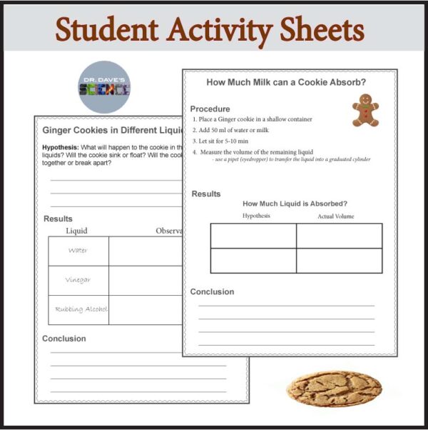 Gingerbread and Gingersnap Christmas Science Activities Science ...