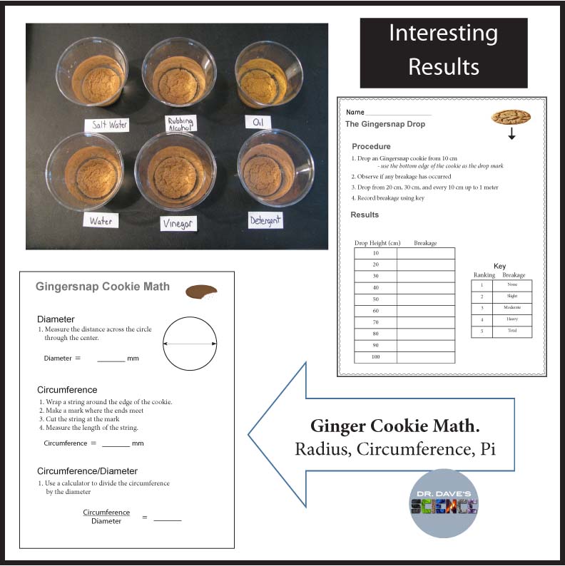 Gingerbread and Gingersnap Christmas Science Activities Science ...