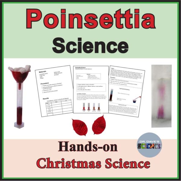 Christmas and Poinsettia Science - Made By Teachers
