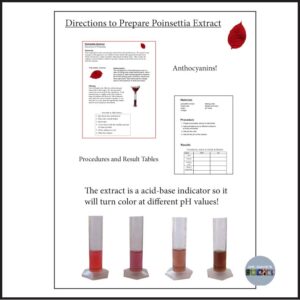 Christmas and Poinsettia Science | Made By Teachers