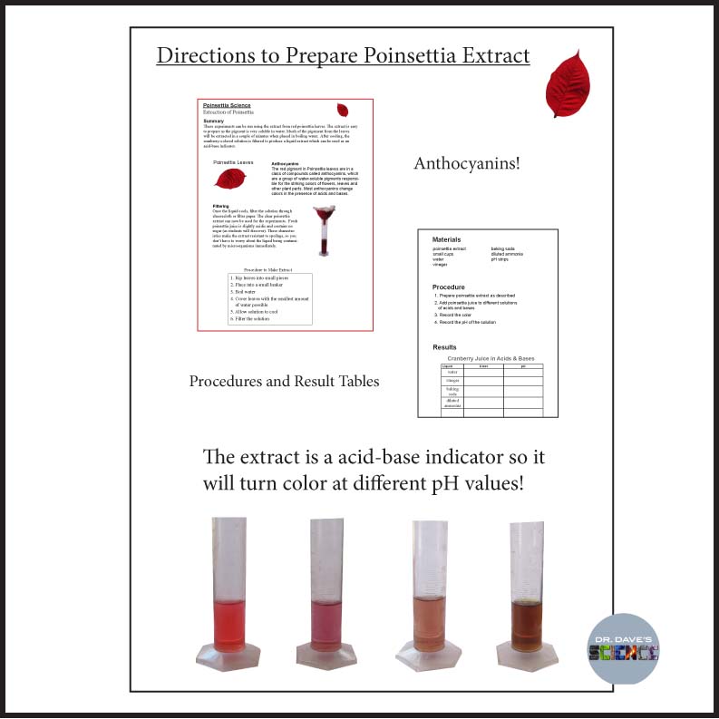Christmas and Poinsettia Science | Made By Teachers