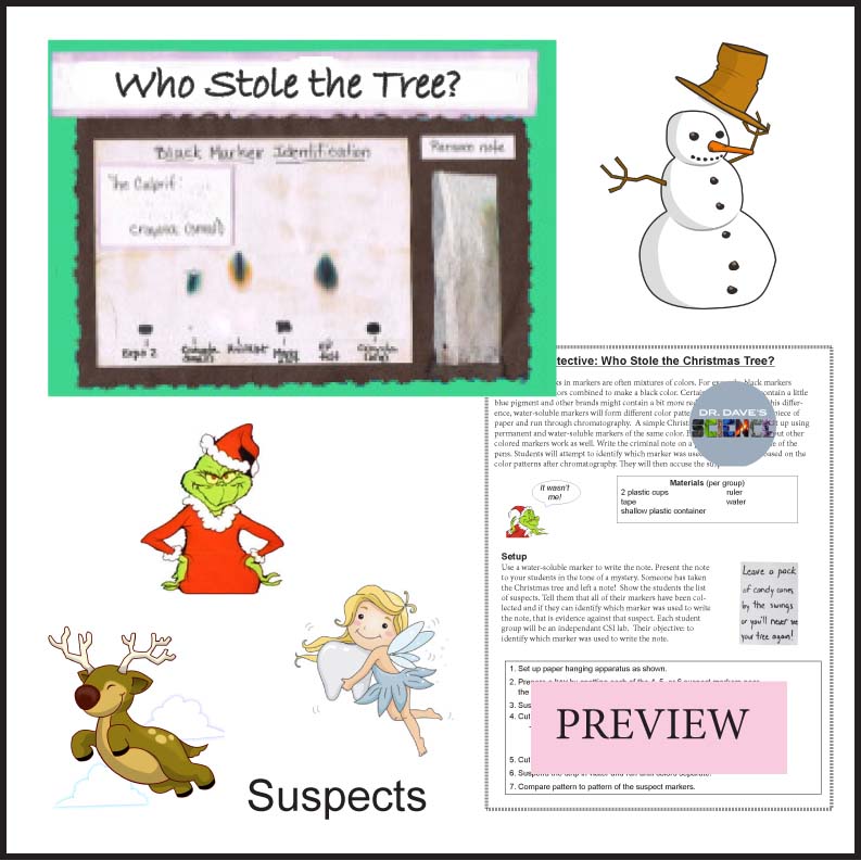 Christmas Science Chromatography Activity | Made By Teachers