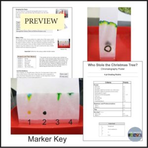 Christmas Science Chromatography Activity | Made By Teachers