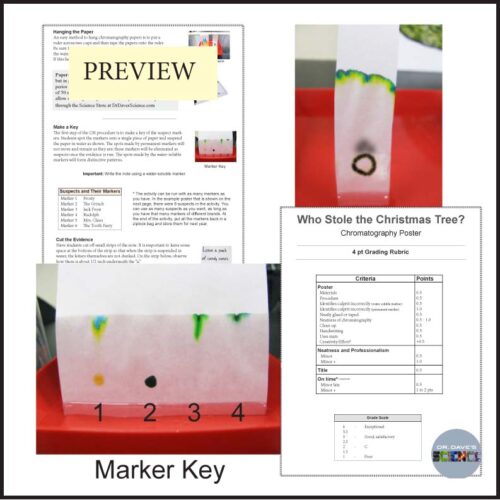 Christmas Science Chromatography Activity - Made By Teachers