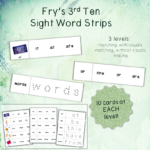 Halloween Adapted Resources for Special Education in October BUNDLE ...