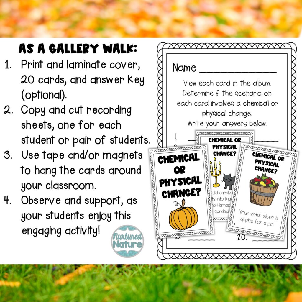 Halloween Physical and Chemical Changes Fall Science Activity | Made By ...