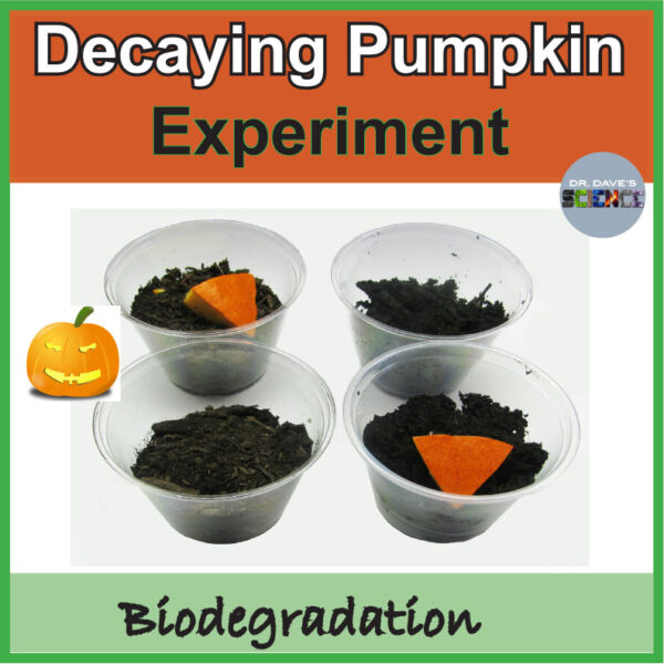 Pumpkin and Halloween Science - Made By Teachers