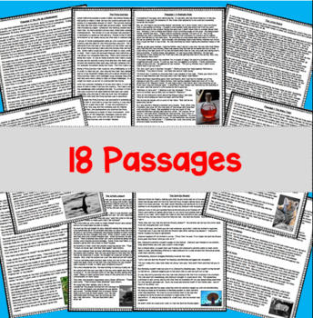 3rd Grade ELA Practice State Test BUNDLE: State Test Prep - Made By ...