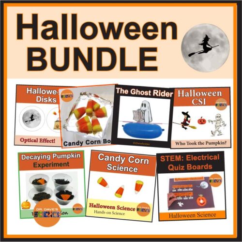 Animal Adaptations Unit Bundle | Made By Teachers