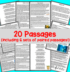 Theme BUNDLE: 20 Passages with 60+ Multiple-Choice Questions | Made By ...