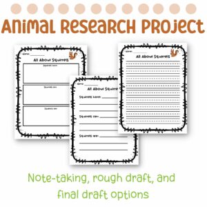 Kindergarten Animal Research Project and Craft: All About Squirrels ...