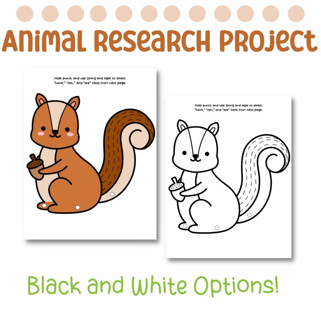 Kindergarten Animal Research Project and Craft: All About Squirrels ...