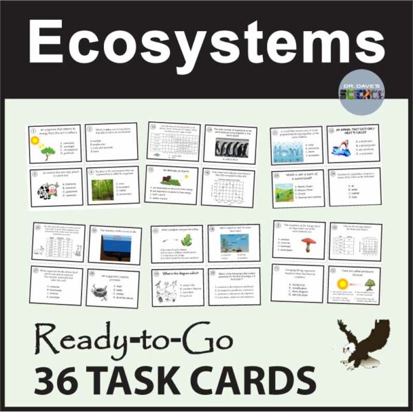 Environment and Living things Ecosystems Task Cards | Made By Teachers