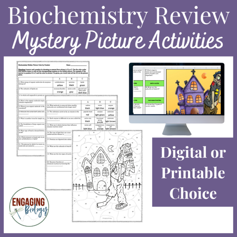 Cells Review Stations | Made By Teachers