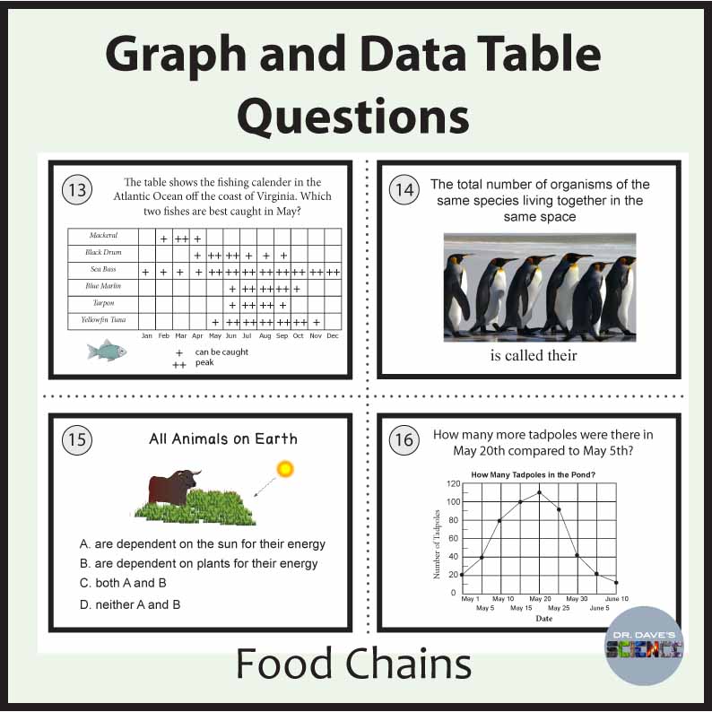 Environment and Living things Ecosystems Task Cards | Made By Teachers