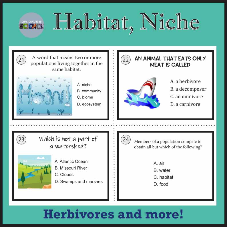 Environment and Living things Ecosystems Task Cards | Made By Teachers