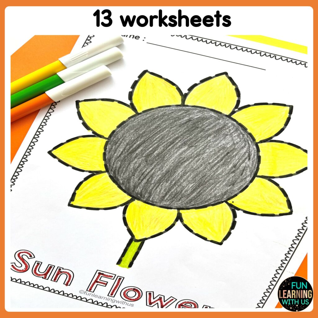 Thanksgiving Picture Tracing & Coloring Fine Motor Activity | November ...