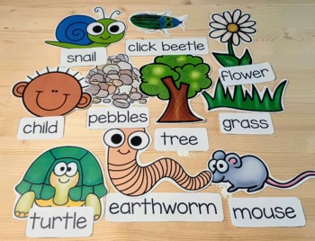 The Very Clumsy Click Beetle Book Companion - Made By Teachers