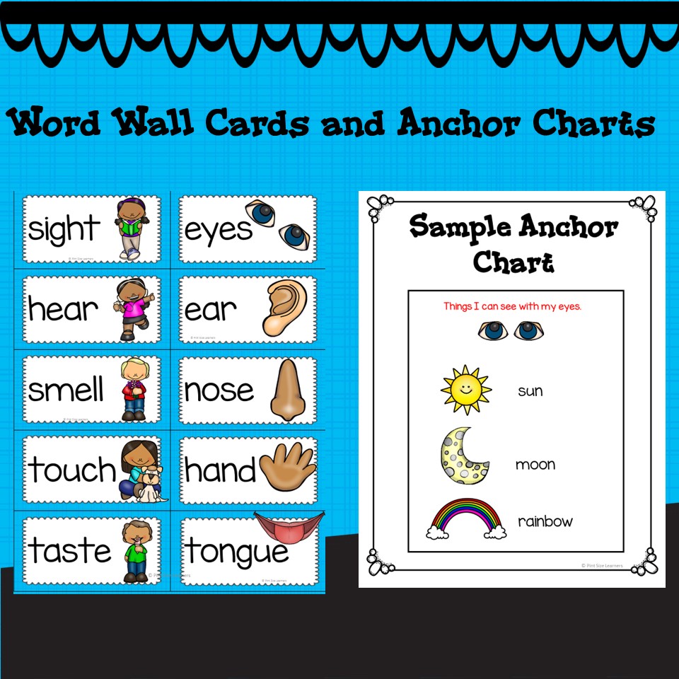 Five Senses Activities | 5 Senses Worksheets | Pre-K K Science | Made ...