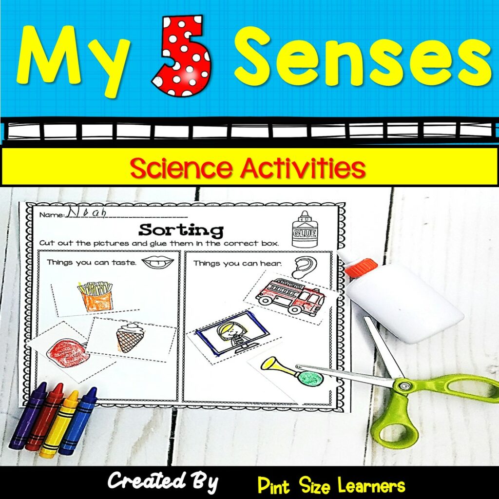 Five Senses Activities | 5 Senses Worksheets | Pre-K K Science | Made ...