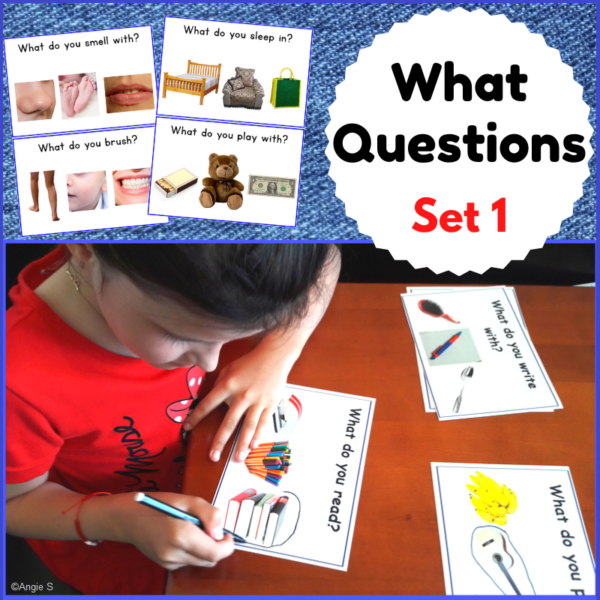 What Questions Worksheets for Autism Set 1 | Object Function | Life ...