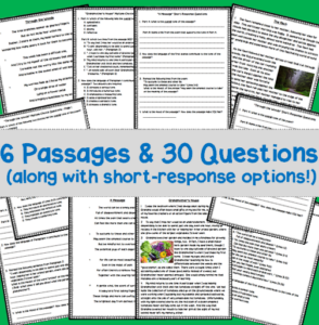 RL.6.4 - Tone and Mood: 6 Passages with 30 Questions! | Made By Teachers