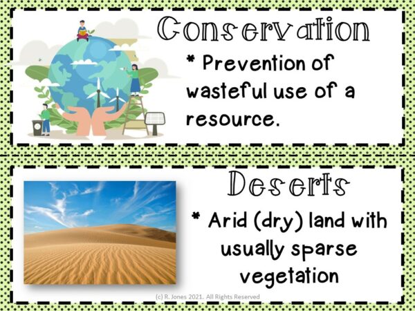 Word Wall Vocabulary Posters for Social Studies | 3rd Grade | 133 Words ...