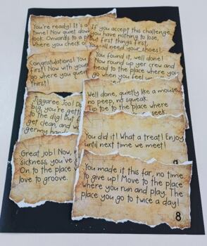 Pirates Literacy Activities | Made By Teachers