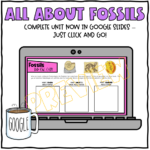 All About Fossils | Made By Teachers
