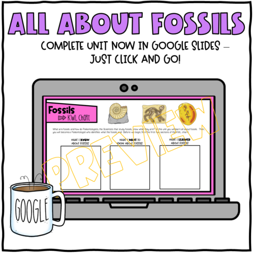 All About Fossils - Made By Teachers