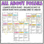 All About Fossils | Made By Teachers