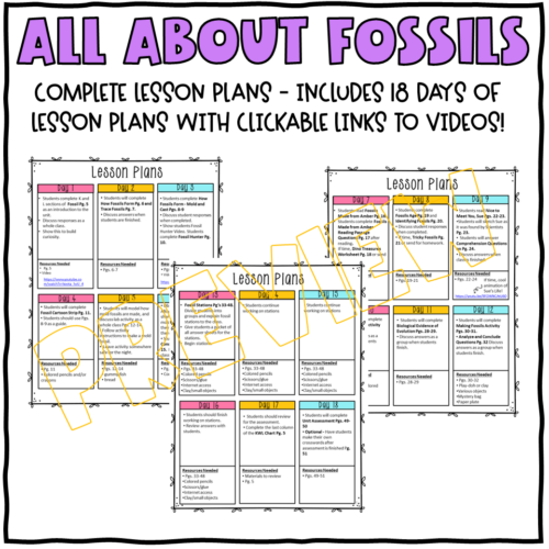 All About Fossils | Made By Teachers