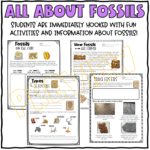 All About Fossils - Made By Teachers