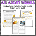 All About Fossils | Made By Teachers