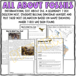All About Fossils | Made By Teachers