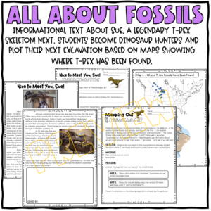 All About Fossils - Made By Teachers