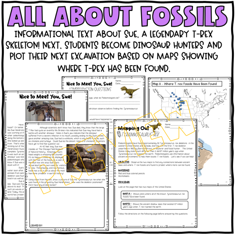 All About Fossils | Made By Teachers